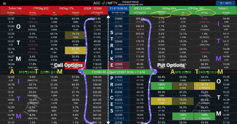 Essential Options Trading Terms Every Trader Must Know Before Using AOC ...